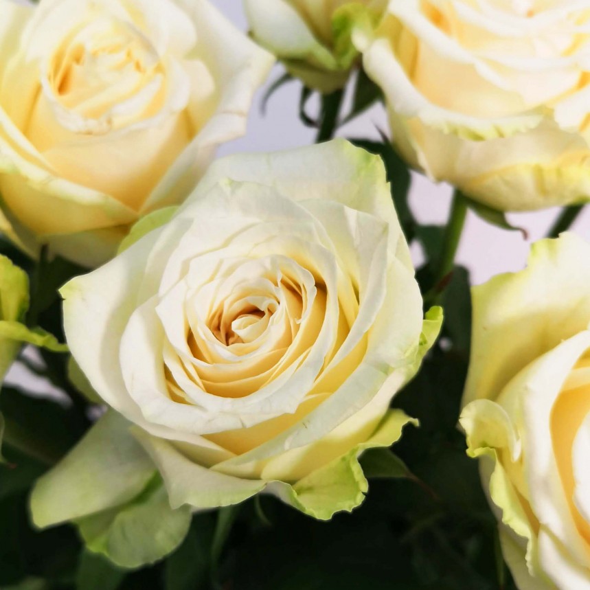 Fleur De Luxe Flowers